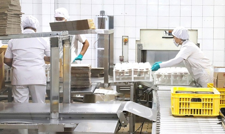Lowongan Kerja PT Campina Ice Cream Industry Tbk