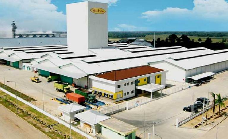 Lowongan Kerja Fresh Graduate PT Malindo Feedmill Tbk Gokerja ID