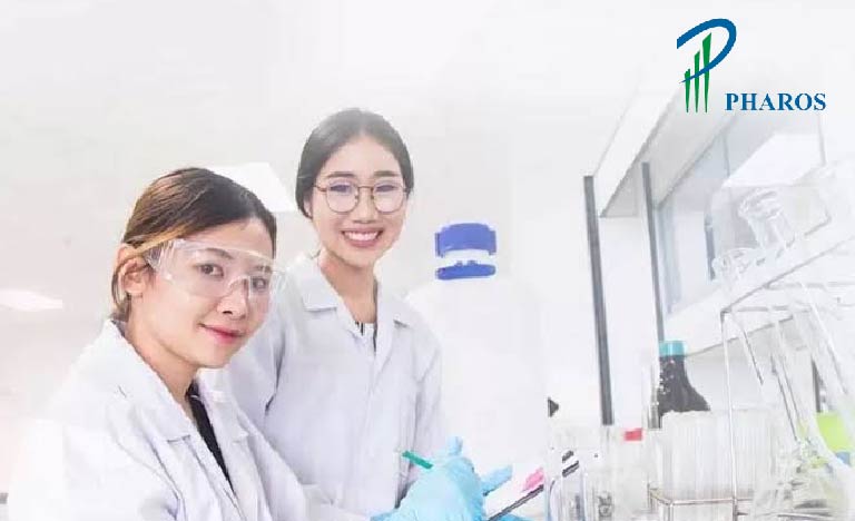 Lowongan Kerja PT Pharos Indonesia Gokerja ID