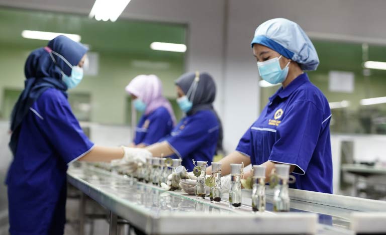 Lowongan kerja PT Victoria Care Indonesia Tbk Gokerja ID