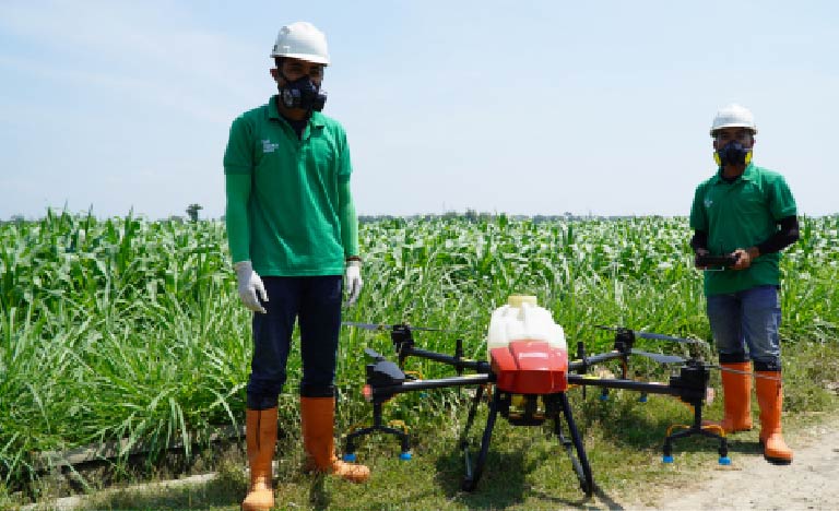 Lowongan kerja Fresh Graduate Maxxi Tani Gokerja ID