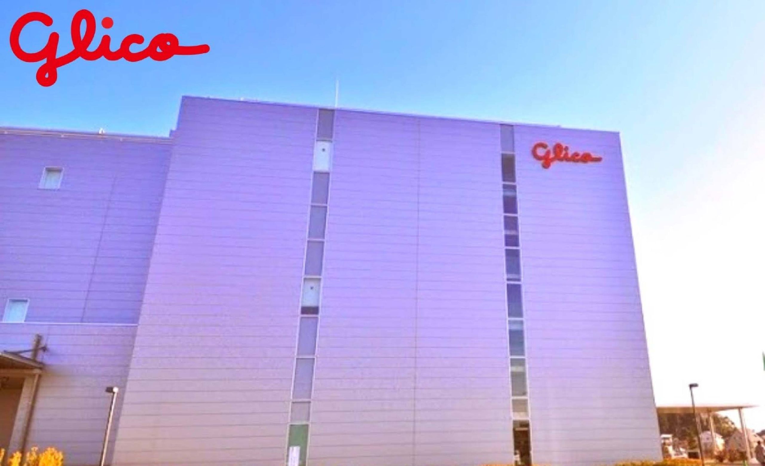 Lowongan Kerja PT Glico Wings Indonesia Gokerja ID